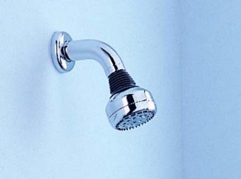 Trevi Tradition Shower Handset chrome